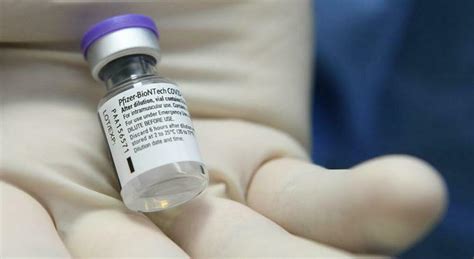 Terza dose vaccino Pfizer Ecco i primi dati anticorpi più alti