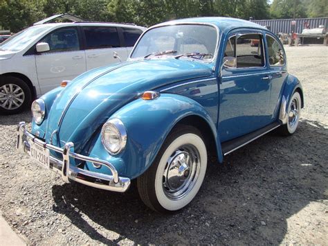 Classic Vw Bugs Fully Restored Gulf Blue Beetle For Sale