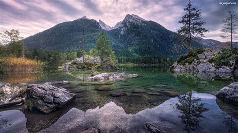 Las Odbicie Bawaria Alpy Jezioro Hintersee Góry Niemcy Drzewa
