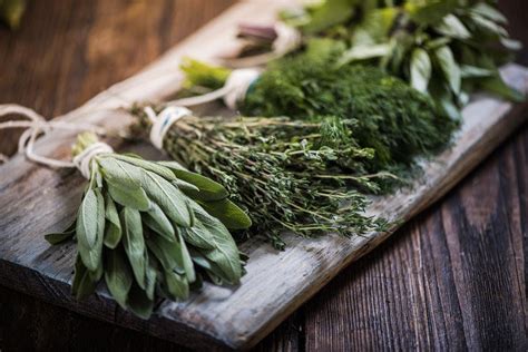 Dépliant nomenclature les herbes aromatiques Le Monde de Jenn
