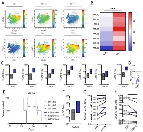 aml lscs have high cks1 and are critically sensitive to cks1i a download scientific diagram
