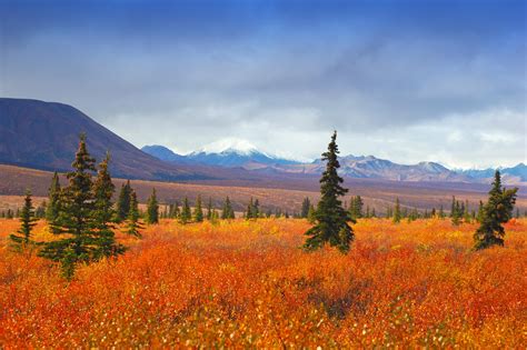 Denali National Park Preserve Alaska Travel Alaska