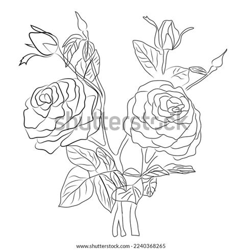Hand Drawn Rose Line Art Drawing Stock Vector Royalty Free