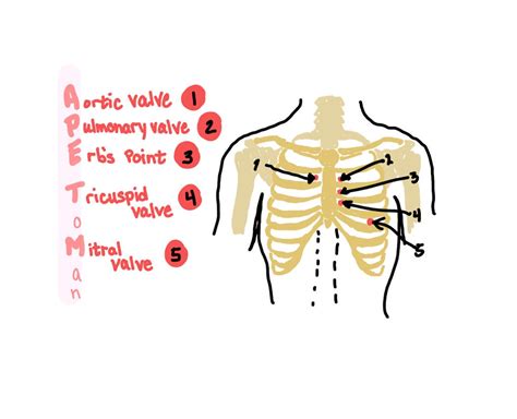 NURSING APE To Man Heart Sounds Etsy