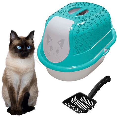 Combo Kit Banheiro Para Gatos Caixa De Areia Fechada Cat Toalete P
