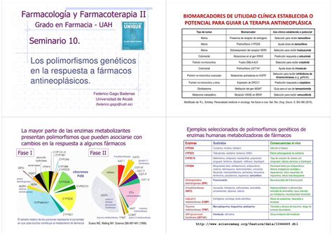 PDF Farmacología y Farmacoterapia II uah es Farmacología y