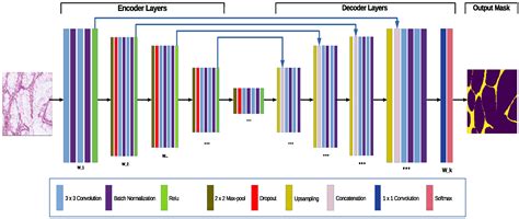 j imaging free full text active learning with bayesian unet for efficient semantic image