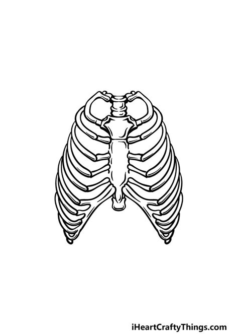 Rib Cage Drawing How To Draw A Rib Cage Step By Step