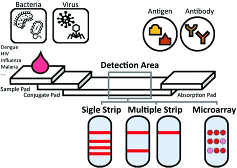 a new point of care test for the diagnosis of infectious diseases based on multiplex lateral