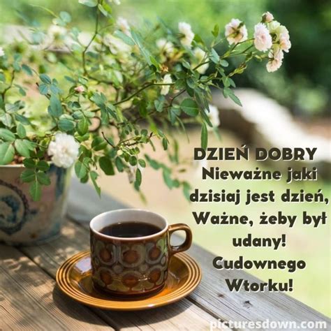 Kartka miłosne kocham cie na wtorek polne kwiaty