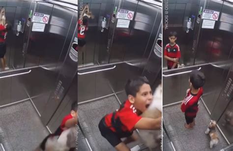 LoAsombroso Niño se convierte en héroe al salvar a su perrito en un