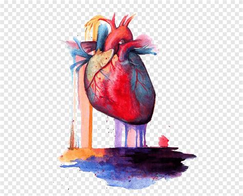 Descarga gratis Ilustración de hogar anatomía del corazón pintura