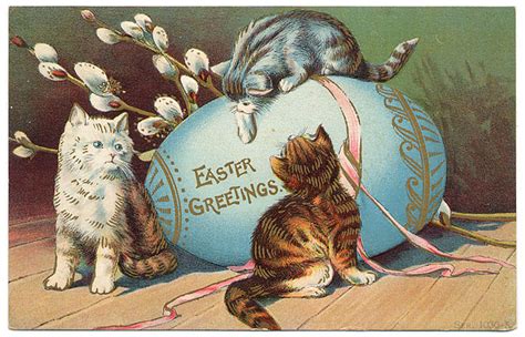 Easter Cats