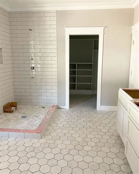 Sherwin Williams SW 0055 Light French Gray с примерами фото Просто Ремонт