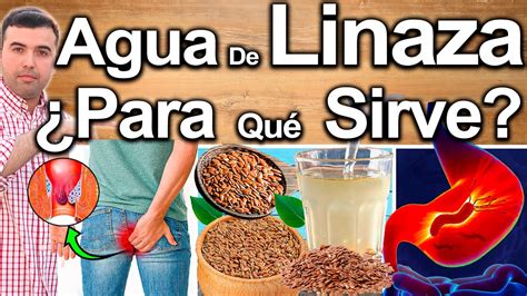 AGUA DE LINAZA EN AYUNAS Para Qué Sirve La Linaza Beneficios Para