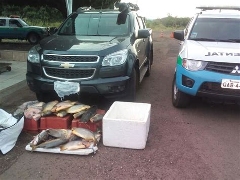 PMA Prende E Autua Em R 8 Mil Quatro Turistas Pescado Ilegal