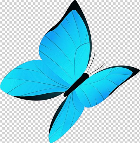 Dibujo De Mariposa Dibujos Animados Azul Alcon Video Mariposas De