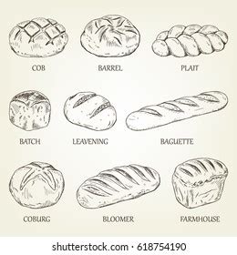 Outline Set Different Kinds Bread Vector Stock Vector Royalty Free