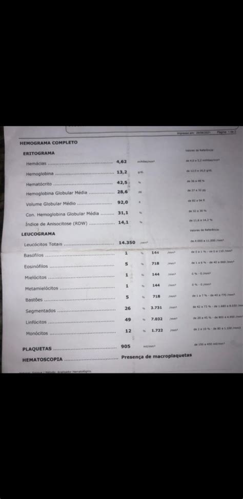 Como é o hemograma de uma pessoa leucemia Revista Online ABRALE