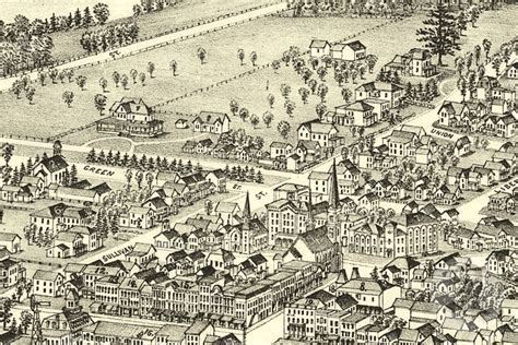 Vintage Map Of Cazenovia New York By Ted S Vintage Art Birds