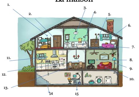 Final Exam Diagram Quizlet