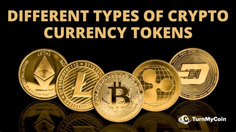 7 Different Types Of Crypto Tokens You Need To Know TurnMyCoin How To
