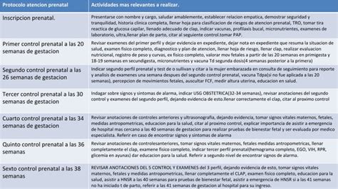 Lineamiento MATERNO 2023 ley nacer con cariño PPT
