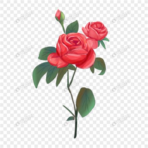 玫瑰花元素素材下载 正版素材401044143 摄图网