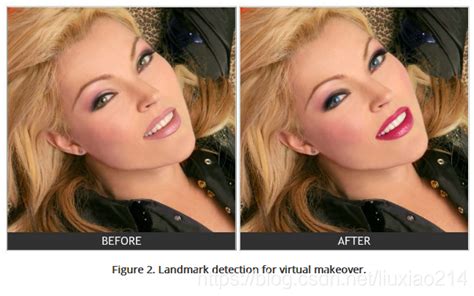 learnopencv】facial landmark detection：人脸特征点检测的一些应用 facial landmarks csdn博客