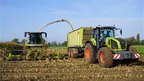 Mais 2023 Claas Xerion Axion 950 Jaguar 960 Nikkels Teuge