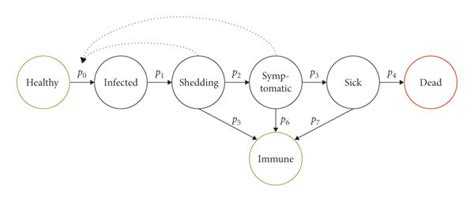 a markov chain model describing how individuals can transition between download scientific