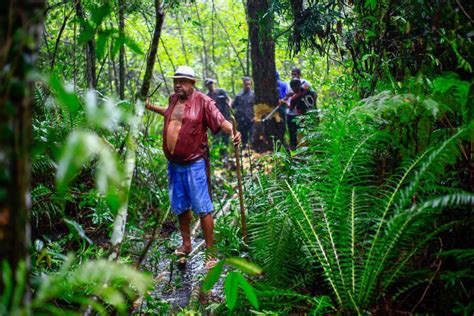 Festejos de São Benedito começam na Serra neste domingo