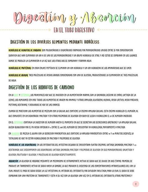 Digestión y Absorción del Tubo Digestivo Abril Oriana Feser uDocz