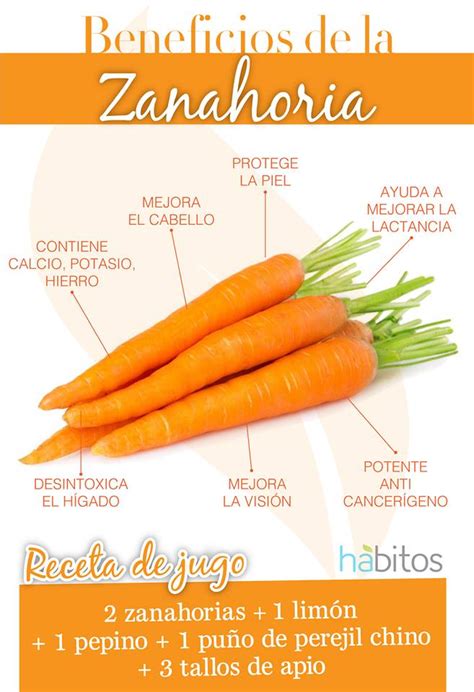 BENEFICIOS DE LA ZANAHORIA Hábitos Health Coaching