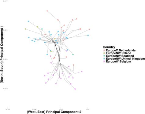 convex clustering projection showing genetic relationships among download scientific diagram