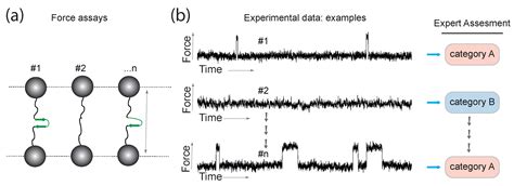 entropy free full text entropy based strategies for rapid pre processing and classification