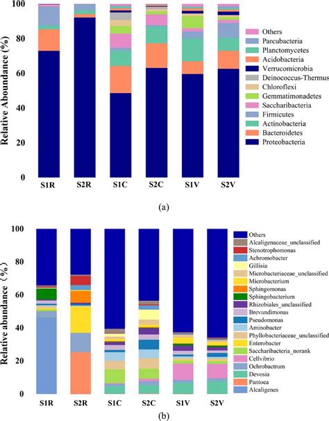 Phylum A And Genus B Level Compositions Of The Bacterial Community
