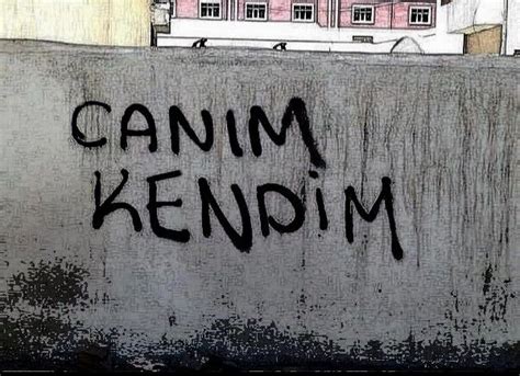 Zeynep Etin Adl Kullan C N N Zl S Zler Panosundaki Pin Duvar