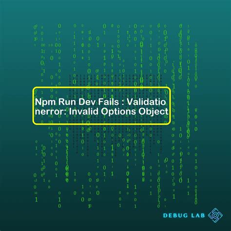 Npm Run Dev Fails Validationerror Invalid Options Object Debug Lab