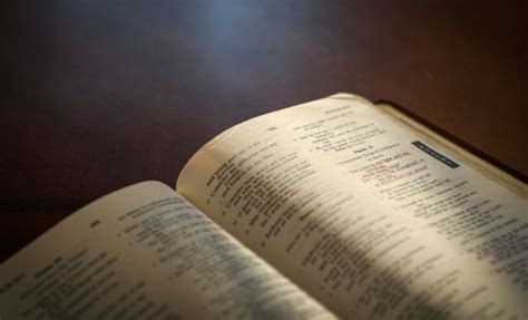 Actualizar 118 imagen definición de padre según la biblia Abzlocal mx