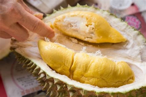 DURIAN MUSANG KING ASAL USULNYA DAN MENGAPA BEGITU POPULER DI PASARAN