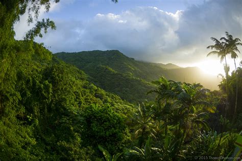 Cosas Que Hacer En El Bosque Nacional De El Yunque Planifica Tu Viaje