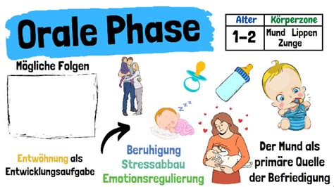Psychosexuelle Entwicklung Nach Freud