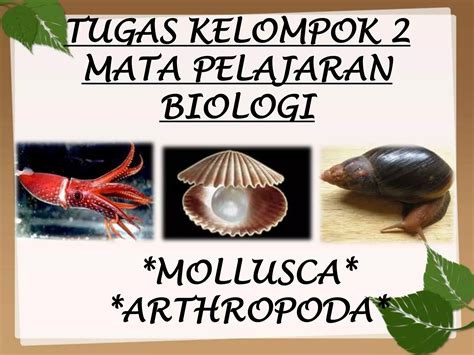 Mollusca Dan Arthropoda Biologi PPT