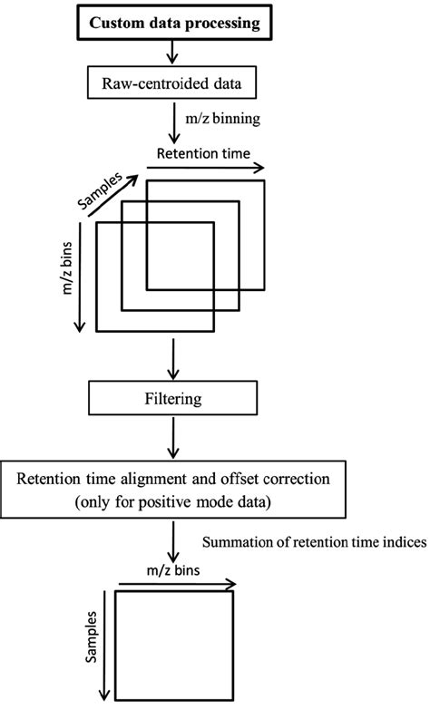 custom data preprocessing scheme download scientific diagram