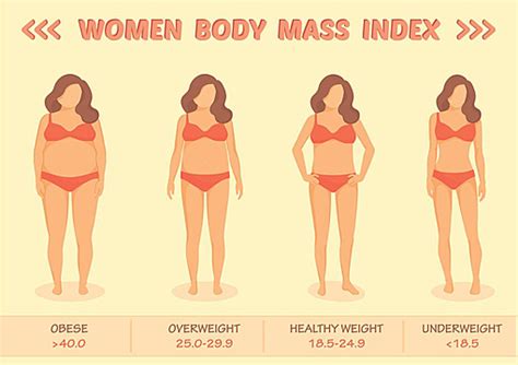 Woman Body Mass Indexeps Nutrition Human Info Vector Nutrition Human