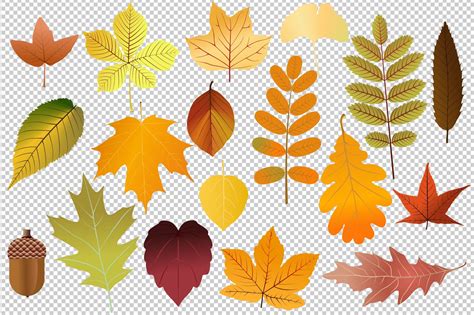 Autumn Leaves Images Vector Clipart Graphic By Blue Hat Graphics
