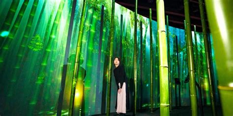 日本Flowers by Naked新媒体艺术展 重庆北岸星数字科技有限公司 重庆多媒体 沙盘多媒体 展览展厅多媒体 沙盘灯光iPad控制