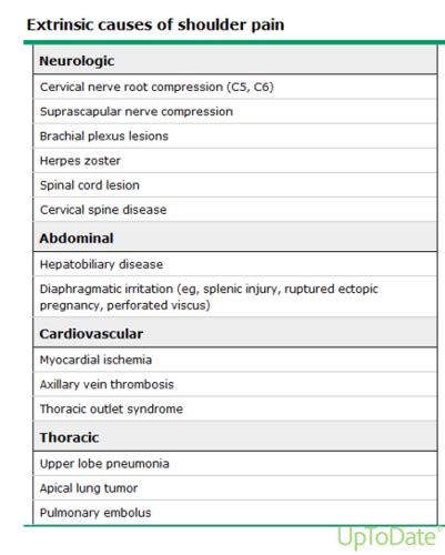 MSK Flashcards Quizlet