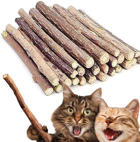 CPRNQY 30 Stück Knabberstangen Katze Katzen Kauhölzer Sticks Für Katzen